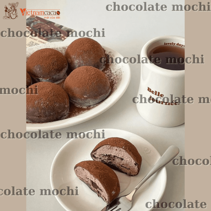 Chocolate Mochi - A unique twist on the traditional Japanese rice cake